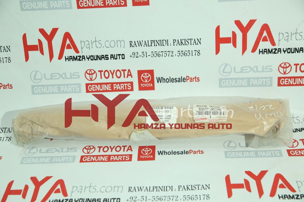 MOULDING, RADIATOR GRILLE, NO.1 | H Y A parts